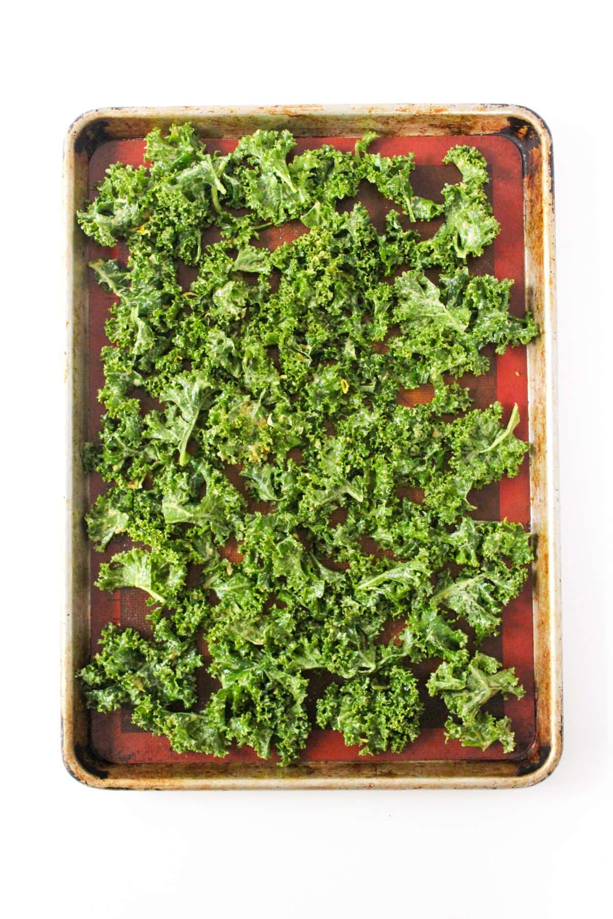 Crunchy Quick-Baked Kale Chips (+ Seasoning Options) - fANNEtastic food