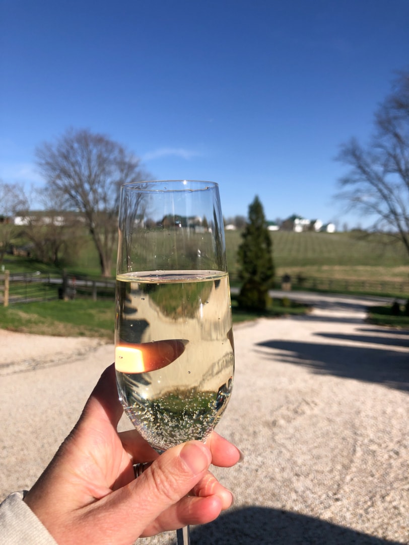 Weekend Recap: Winery Fun - fANNEtastic food