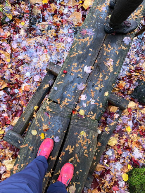 Recap from Hiking the Giant Slide Trail in Acadia National Park
