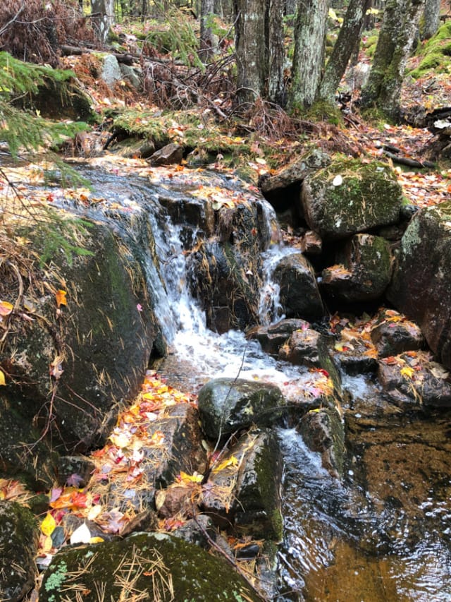 Recap from Hiking the Giant Slide Trail in Acadia National Park