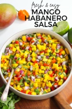 15 Minute Sweet & Spicy Mango Habanero Salsa (No Cooking)